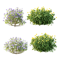 Large square bush - Bush - 3D model
