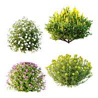 Large square bush - Bush - 3D model
