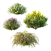 Large square bush - Bush - 3D model