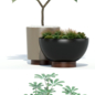 Plants collection 73 Modernica pots - Indoor - 3D model