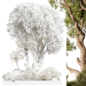 Outdoor Plant 247 - Outdoor - 3D model