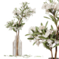 Bouquet Indoor Plants 60 - Bouquet - 3D model