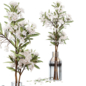 Bouquet Indoor Plants 60 - Bouquet - 3D model