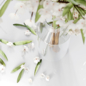Bouquet Indoor Plants 60 - Bouquet - 3D model