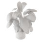 Big Leaf Monstera Plant_Set 4585 - Indoor - 3D model