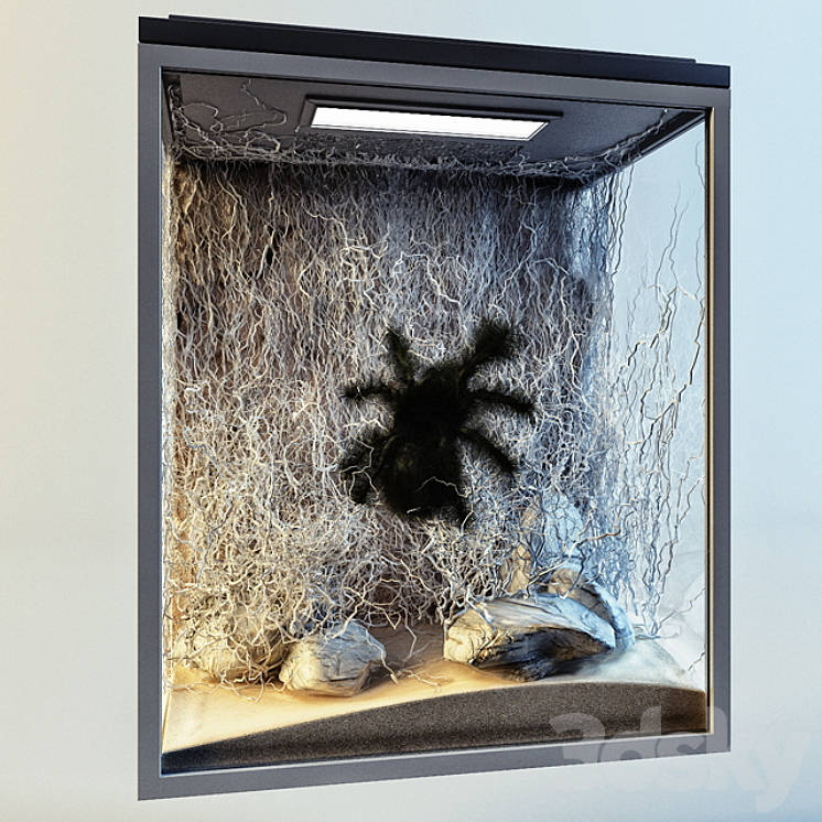 Tarantula - Other decorative objects - 3D model