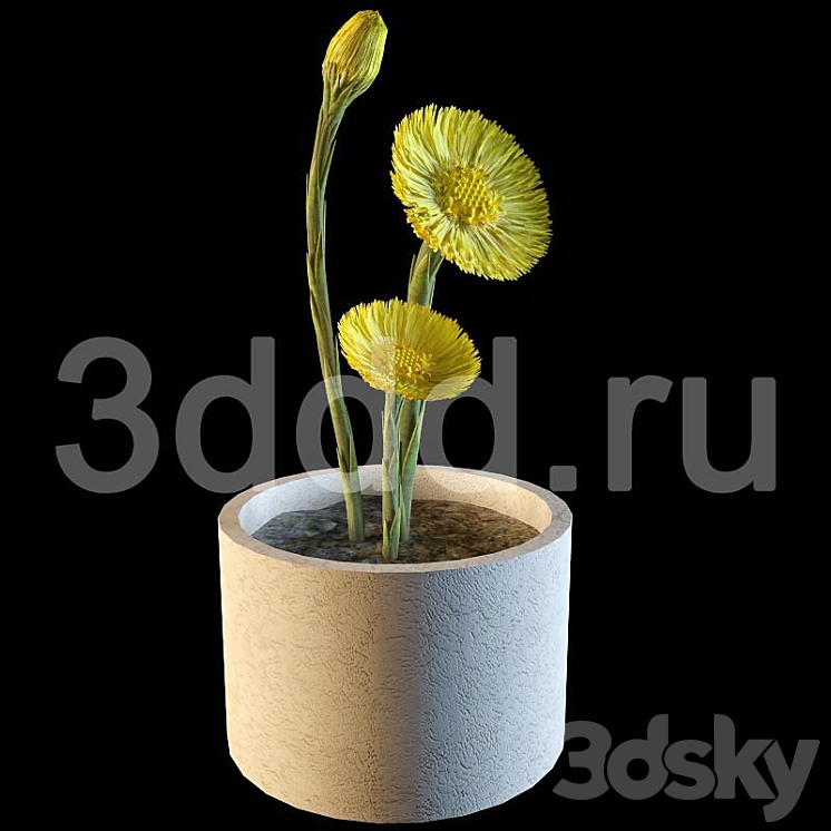 3DDD FLOWERS - Indoor - 3D model