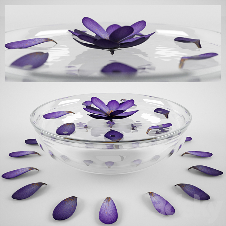 FLOWER IN WATER BOWL - Other decorative objects - 3D model