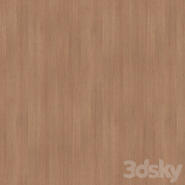 EGGER F583_ST22 - Wood - 3D model