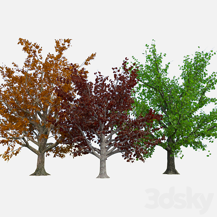 Simple three tree - Tree - 3D model
