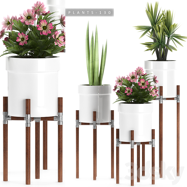 PLANTS 130 - Indoor - 3D model