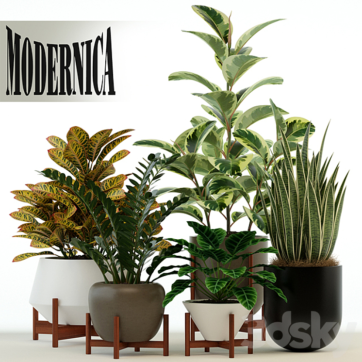 Plants collection 75 Modernica pots - Indoor - 3D model