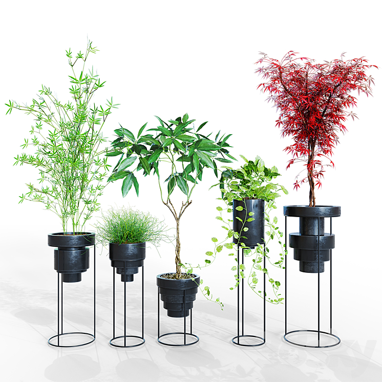 LAYERED PLANTERS by ANNA KARLIN - Indoor - 3D model