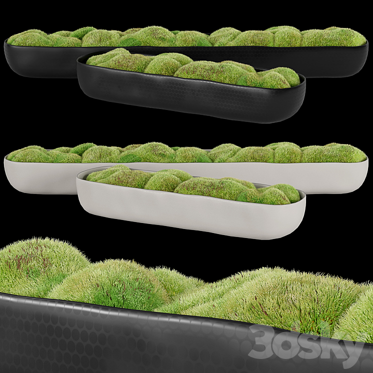 Rh_organic_sculpted_trough - Indoor - 3D model