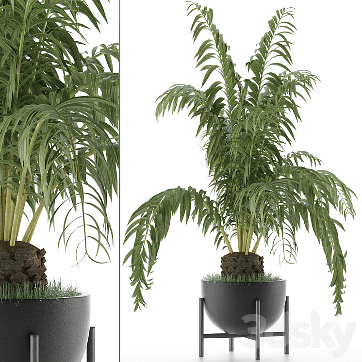 House Plant 42 - Indoor - 3D model