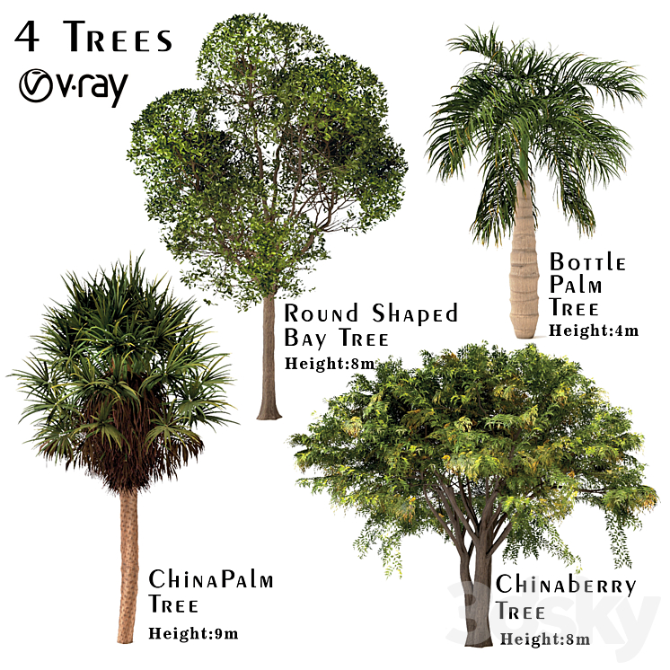 Set of Trees (China Palm, Chinaberry, Round Shaped Bay and Bottle Palm ...