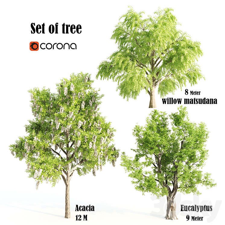 set of tree 015- corona - Tree - 3D model