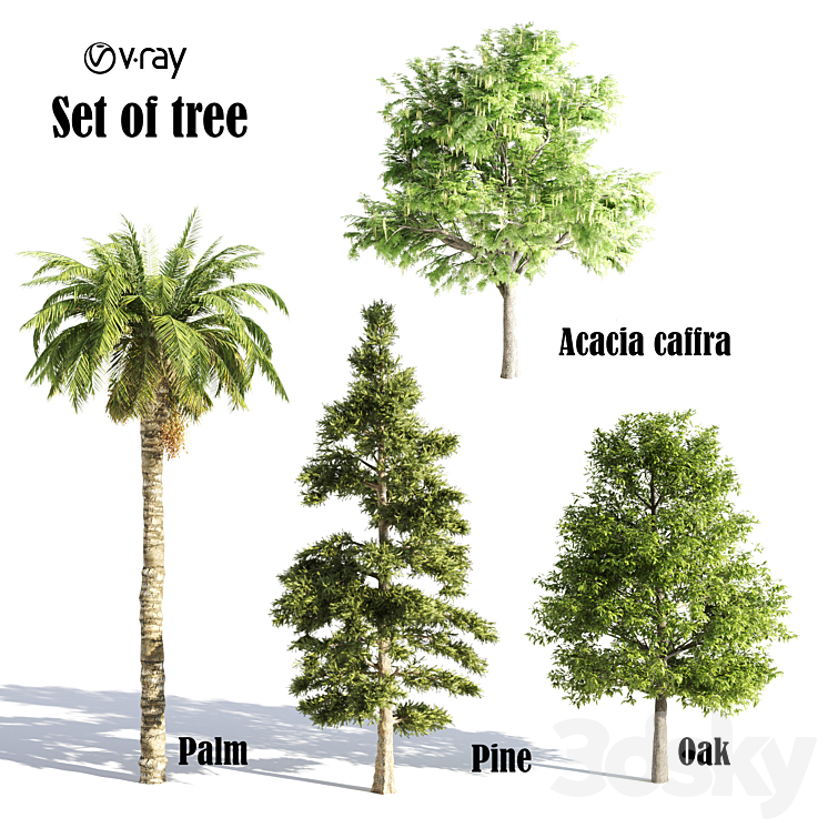 set of tree 16 vray - Tree - 3D model