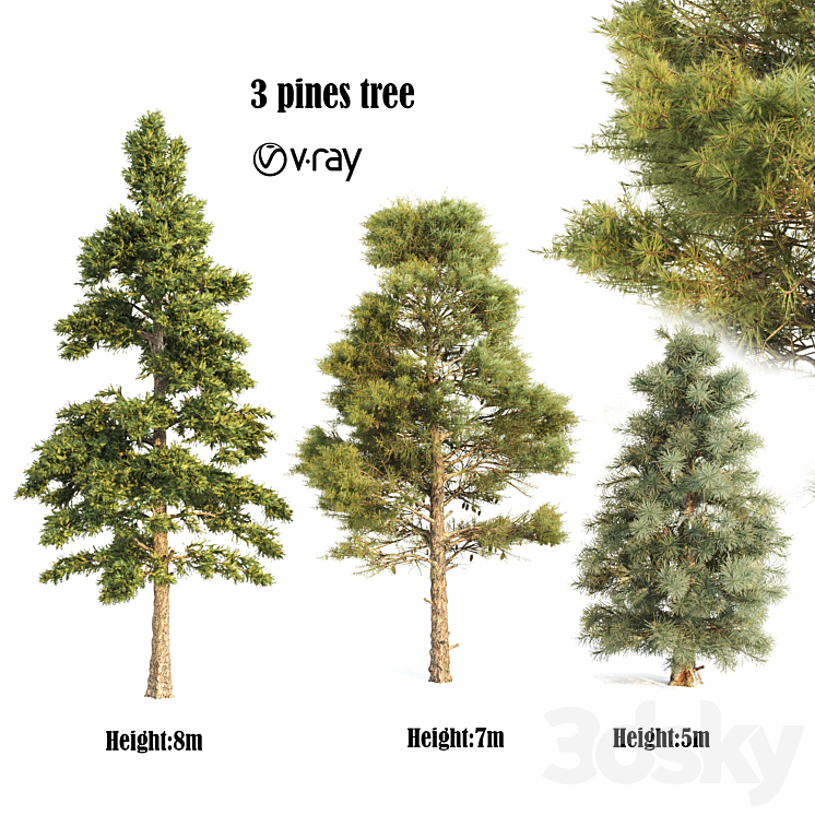 3 pine-vray - Tree - 3D model
