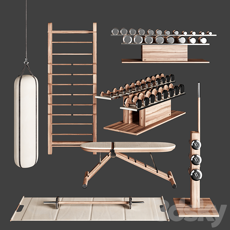 PENT. luxury fitness equipment - Sports - 3D model