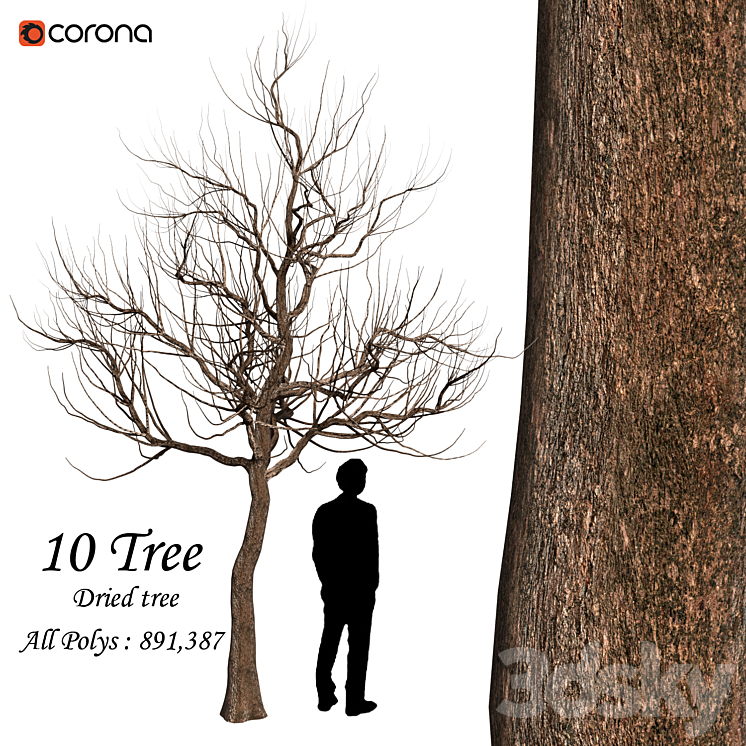 Set of Dried Trees - (10 Trees) - Tree - 3D model
