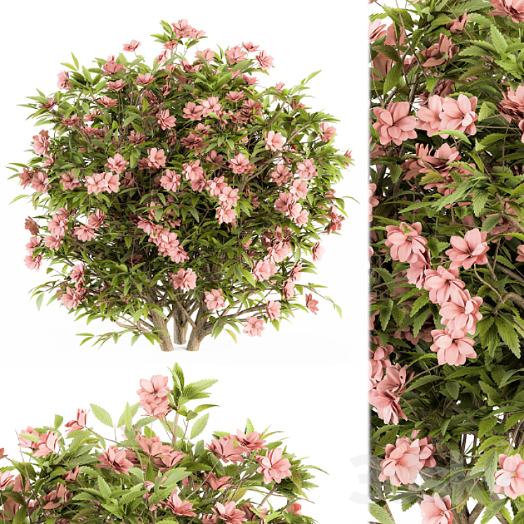 Pink Flower Bush - Bush Set 29 - Bush - 3D model