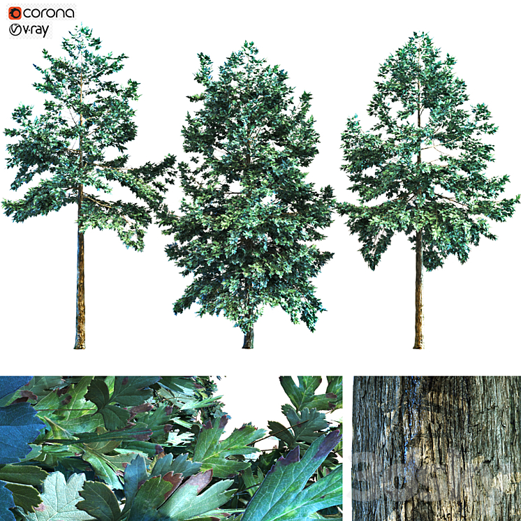 3 oak tree PBR - Tree - 3D model