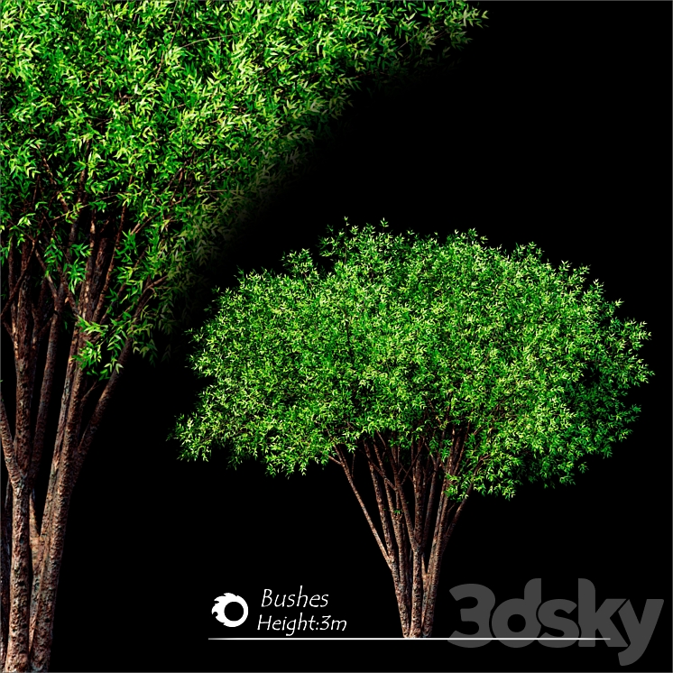 tree corona render - Tree - 3D model