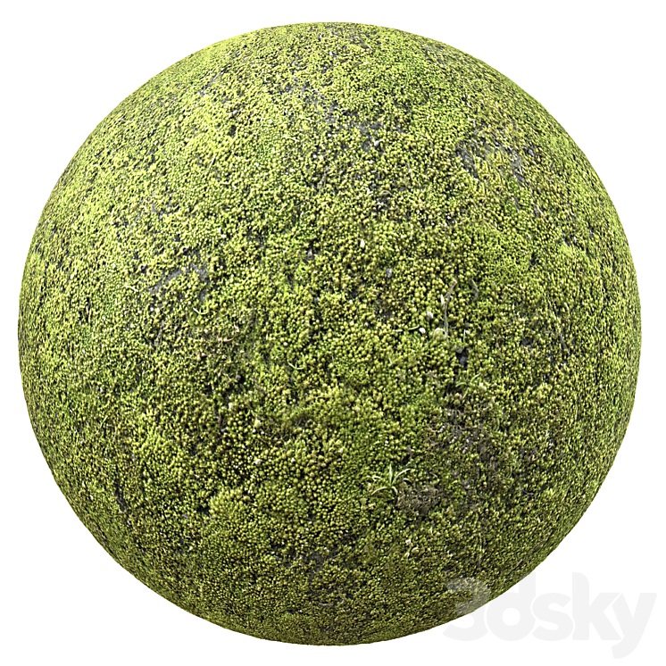 moss - Natural materials - 3D model