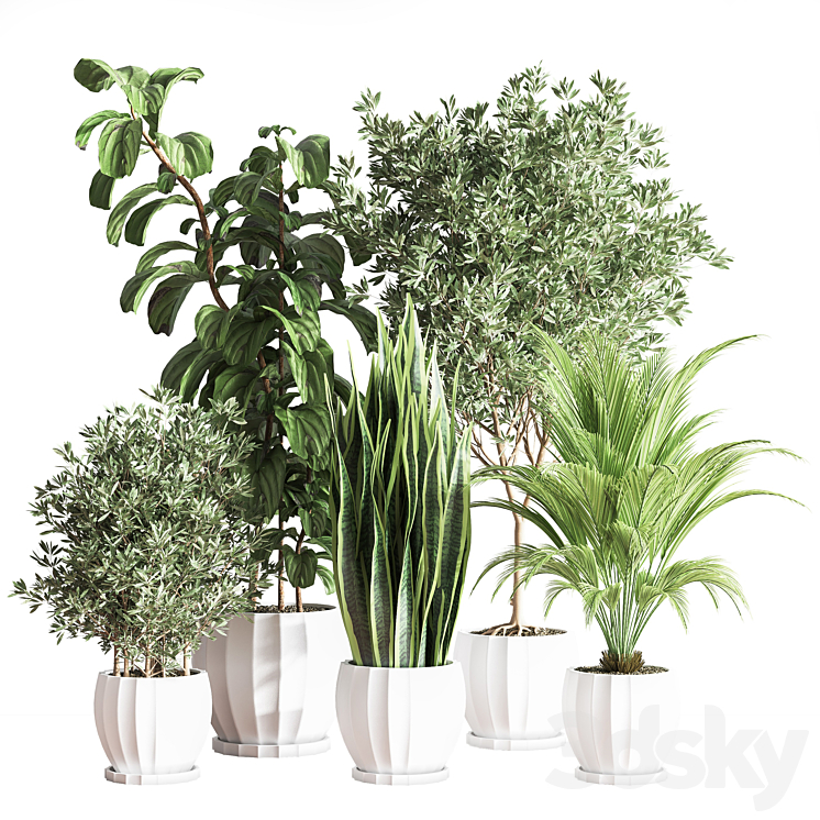 Indoor Set Plant15 - Indoor - 3D model