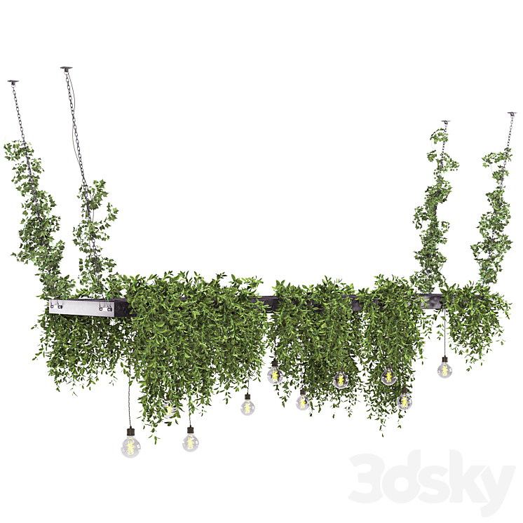 hanging plants 03 - Indoor - 3D model