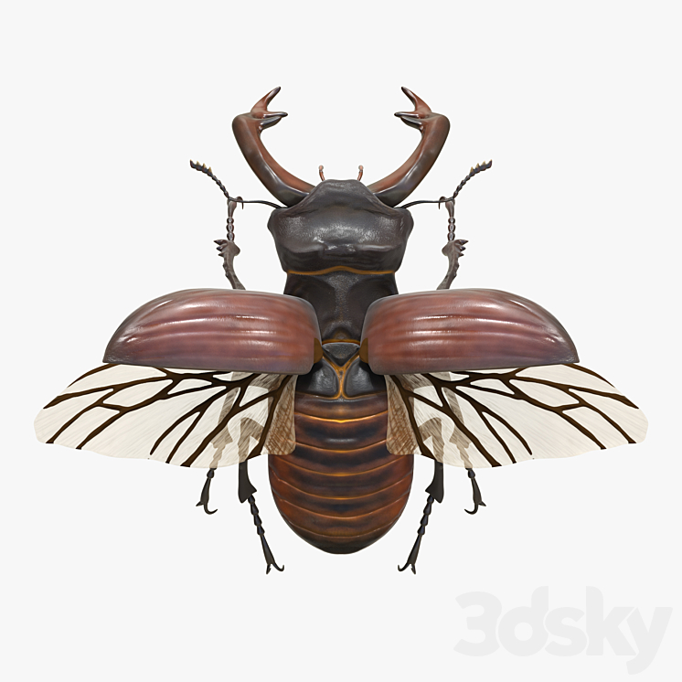 Stag beetle (Lucanus cervus) - Creature - 3D model