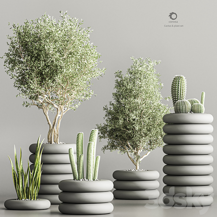 cactus & plant vol 07 - Indoor - 3D model