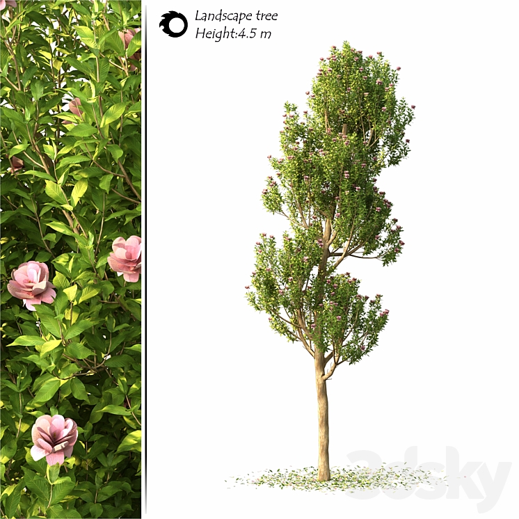 Landscape tree - Tree - 3D model