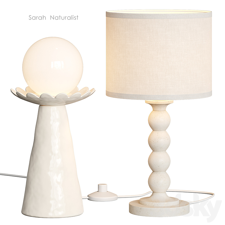 Naturalist Sarah West Elm Table Lamp - Table lamp - 3D model