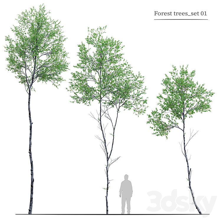 Forest trees set 01 - Tree - 3D model