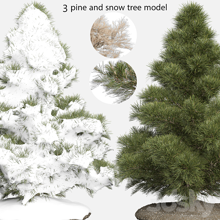 pine tree vol 01 - Tree - 3D model