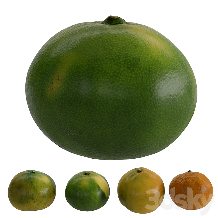 4 Shiva Mikan tangerines - Food and drinks - 3D model
