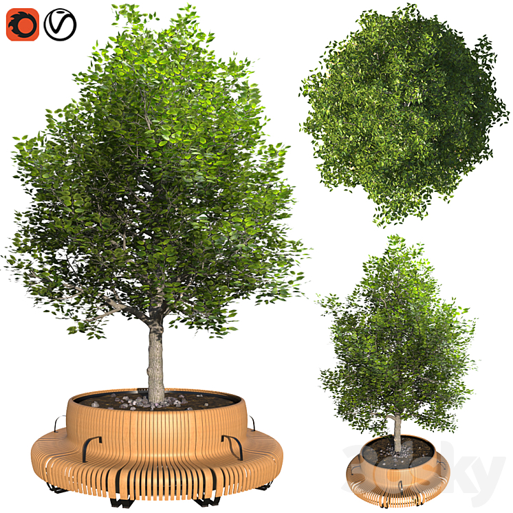 Nova C Back_002 - Urban environment - 3D model