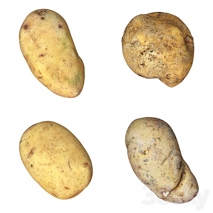 4 Realistic Potato - Food and drinks - 3D model