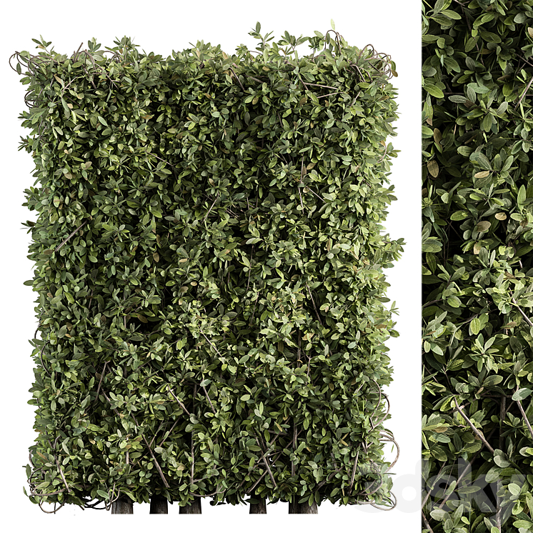 Bush wall Box - Bush Set 119 - Bush - 3D model