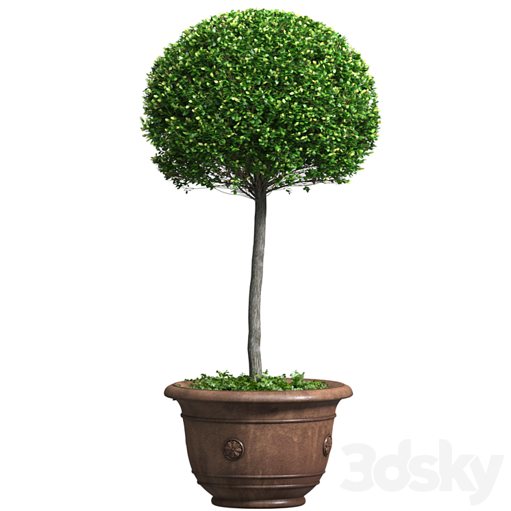 Decorative tree in a large garden pot KINSEY GARDEN DECOR.Front Entry ...