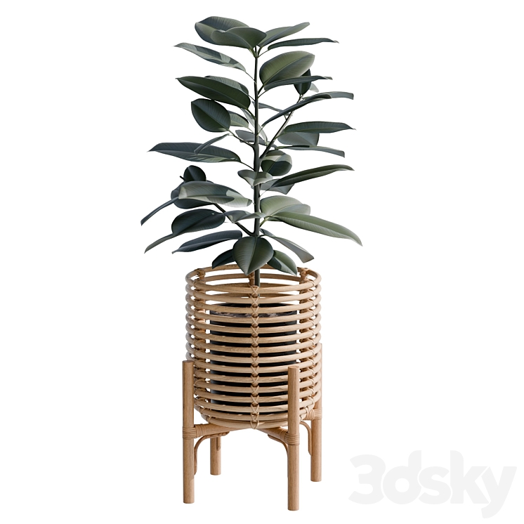 Medium Adobe Rattan Planters - Indoor - 3D model