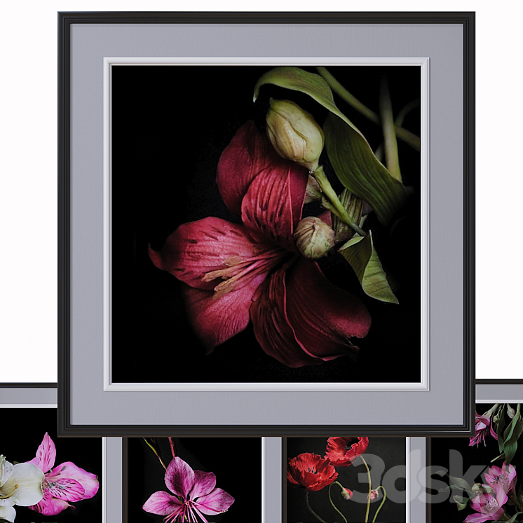 FLOWERS 3 - Frame - 3D model