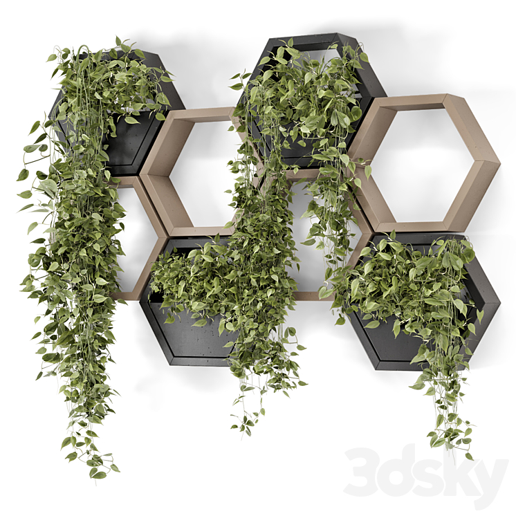 Indoor Hanging Petus Plants - Set 2126 - Indoor - 3D model