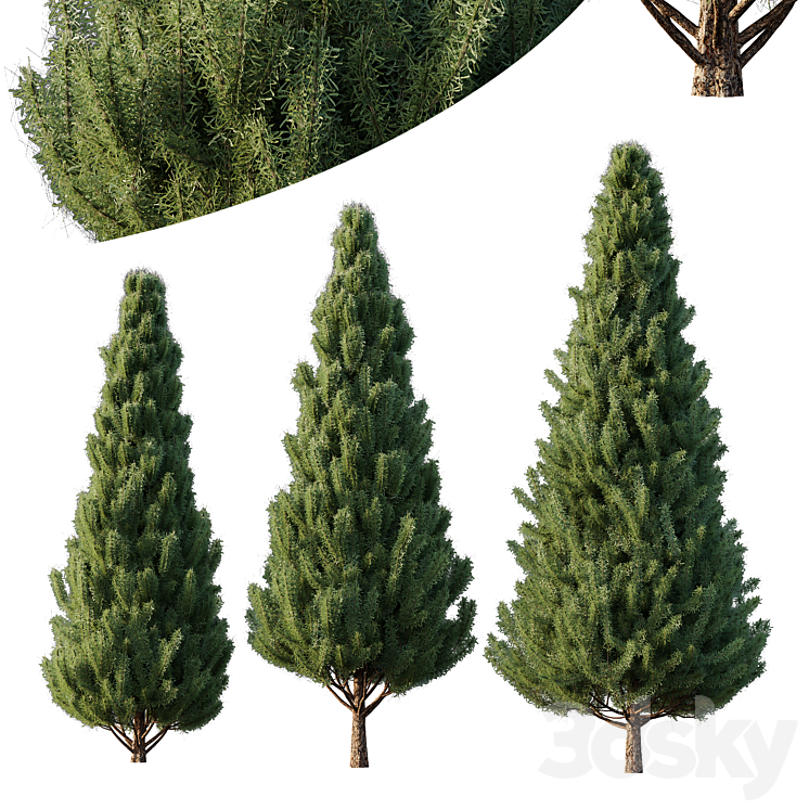 Pin Tree 03 - Tree - 3D model