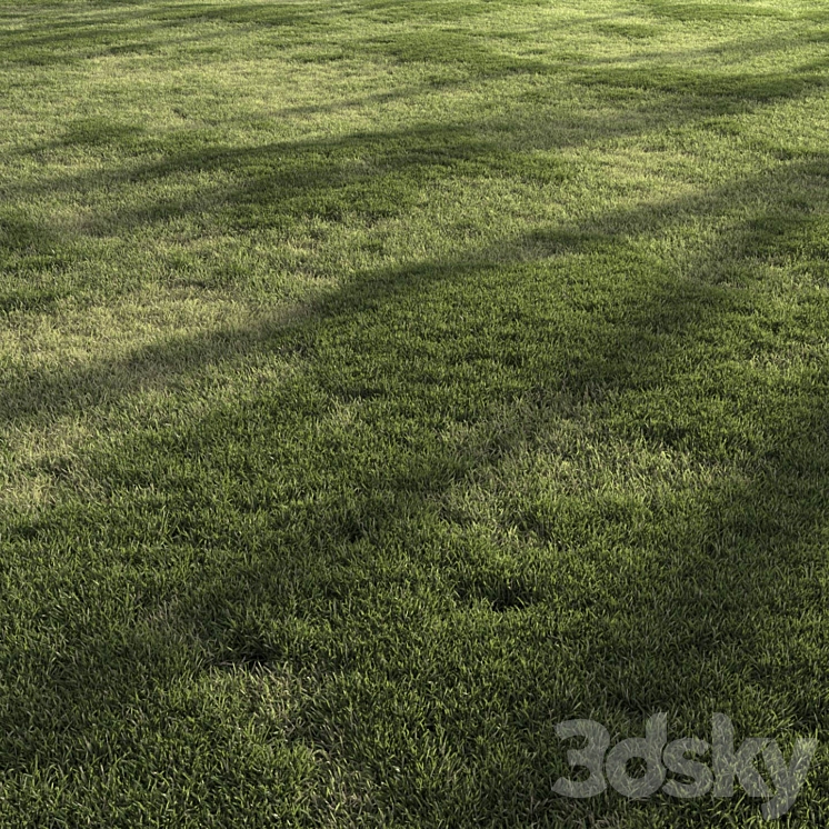 Forest Grass 4 - Grass - 3D model