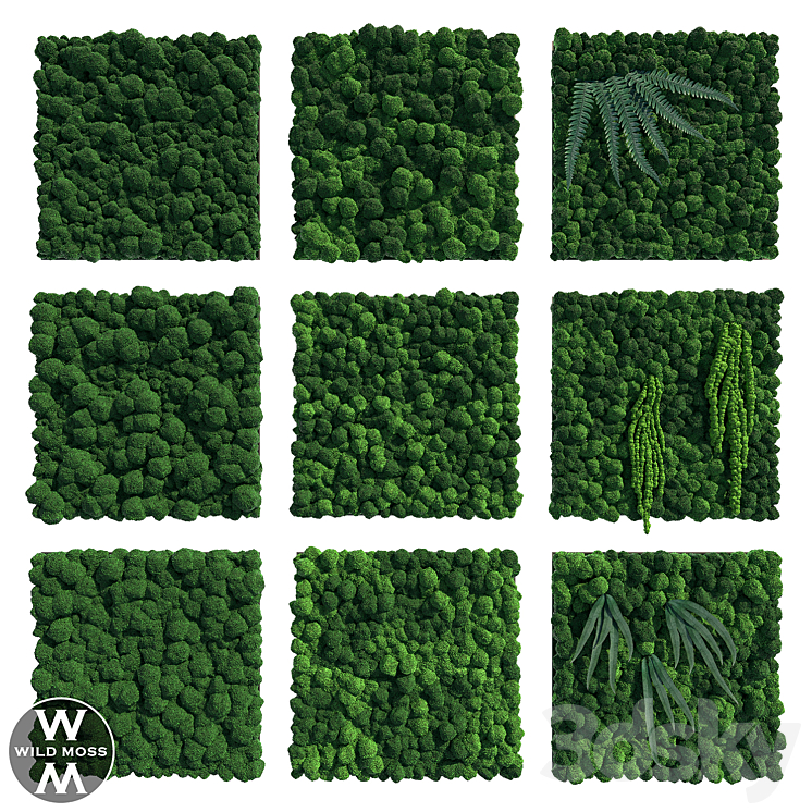 OM Modular moss panels WildMoss - Fitowall - 3D model