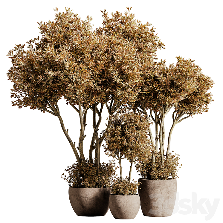 Indoor Plant Set 89 Autumn - Indoor - 3D model