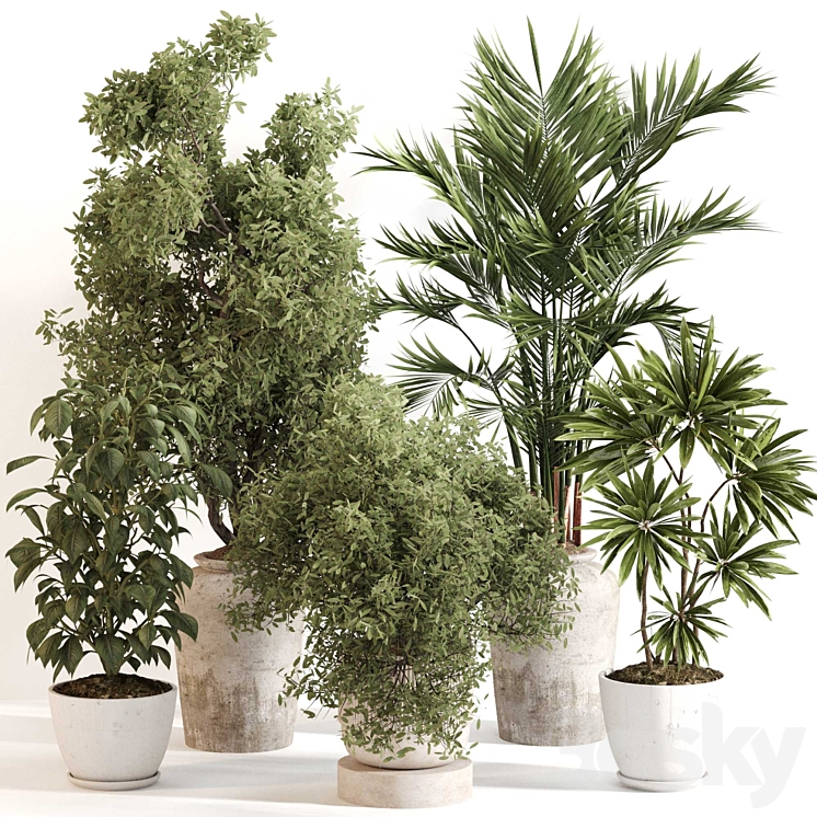 Indoor Plant Set 0149 Indoor 3d Model